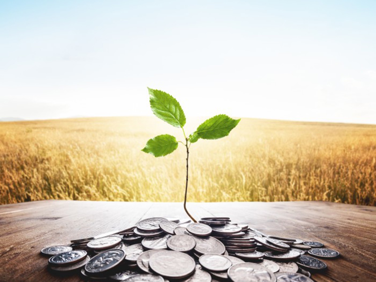 ESG Considerations | Gresham